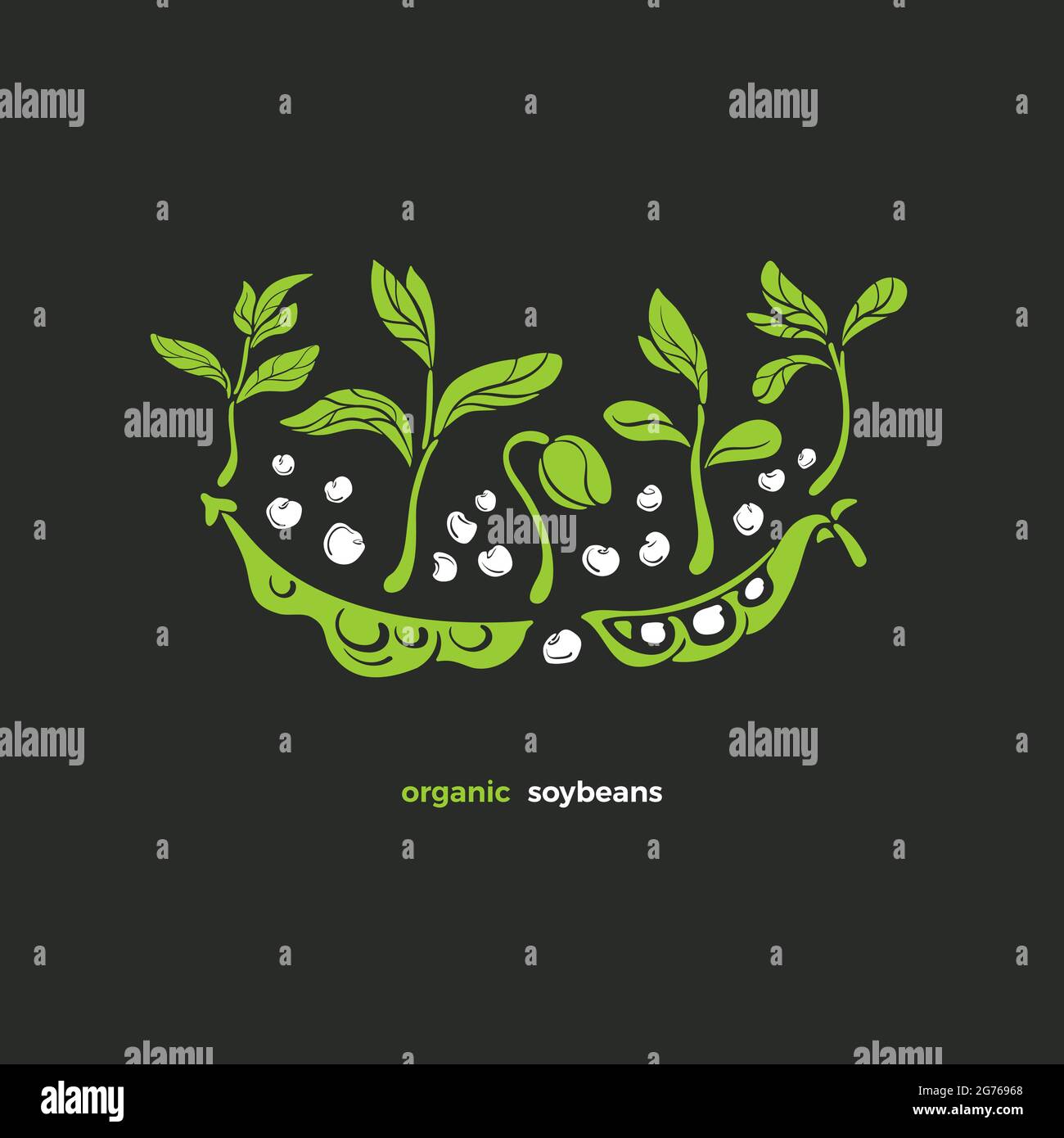 Soy symbol. Vector plant, pod, bean, sprout, leaves. Natural vegan ...