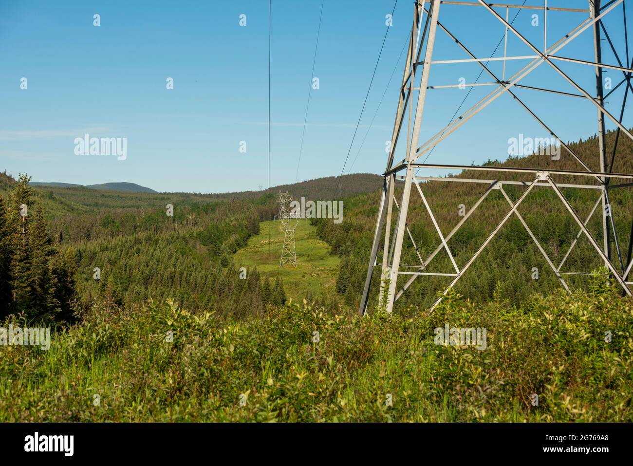 Electrical lines run on large pylons through Gaspesie Provincial Park ...