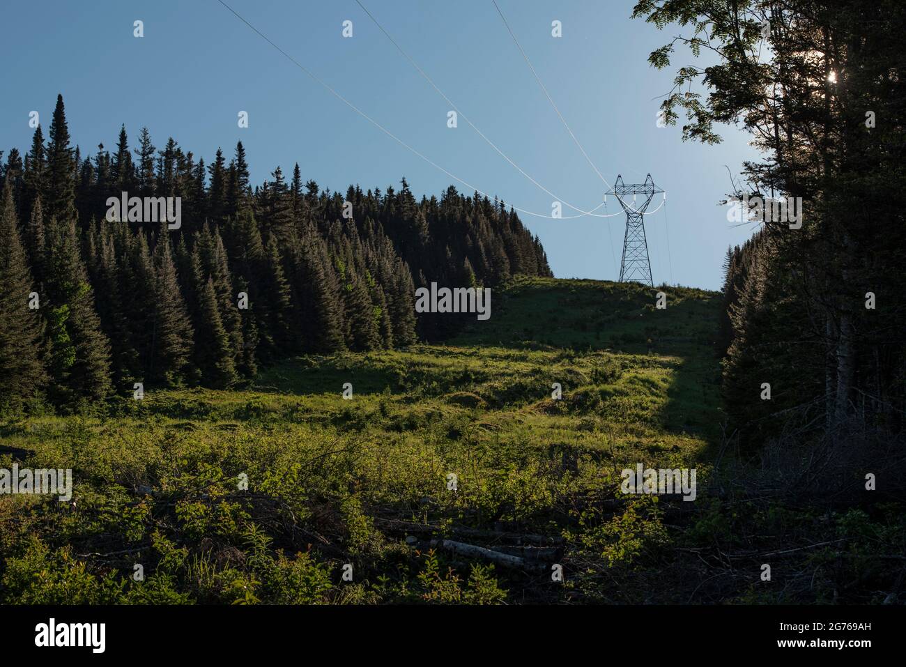 Electrical lines run on large pylons through Gaspesie Provincial Park ...