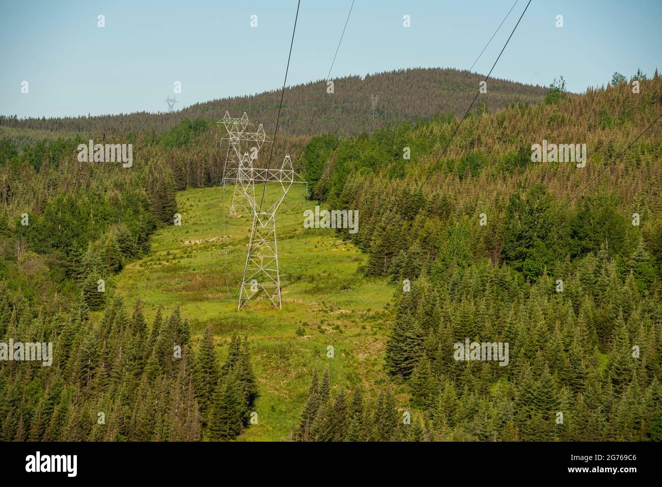 Electrical lines run on large pylons through Gaspesie Provincial Park ...
