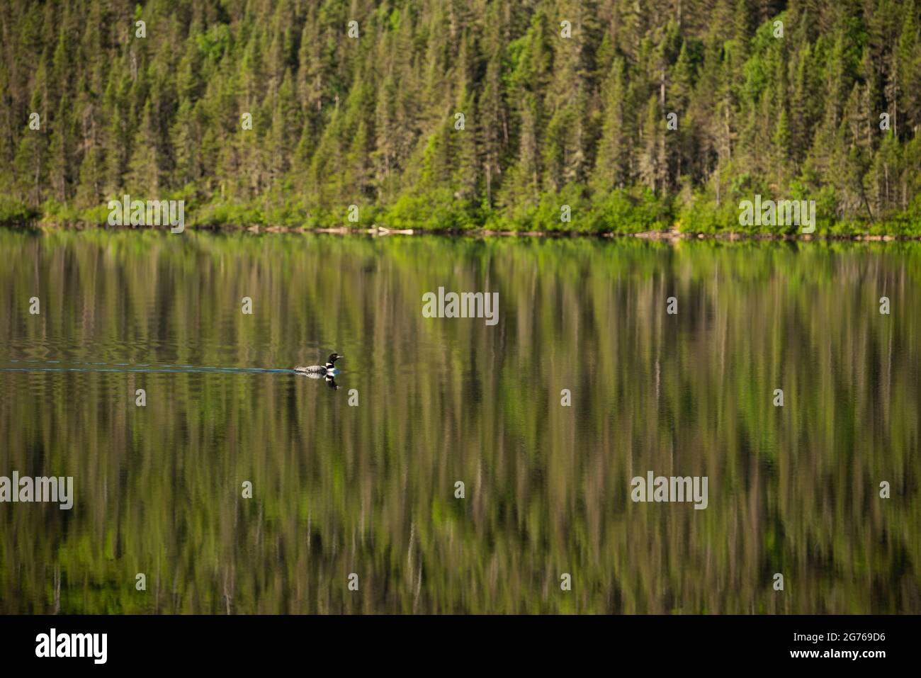 Call lake provincial park hi-res stock photography and images - Alamy
