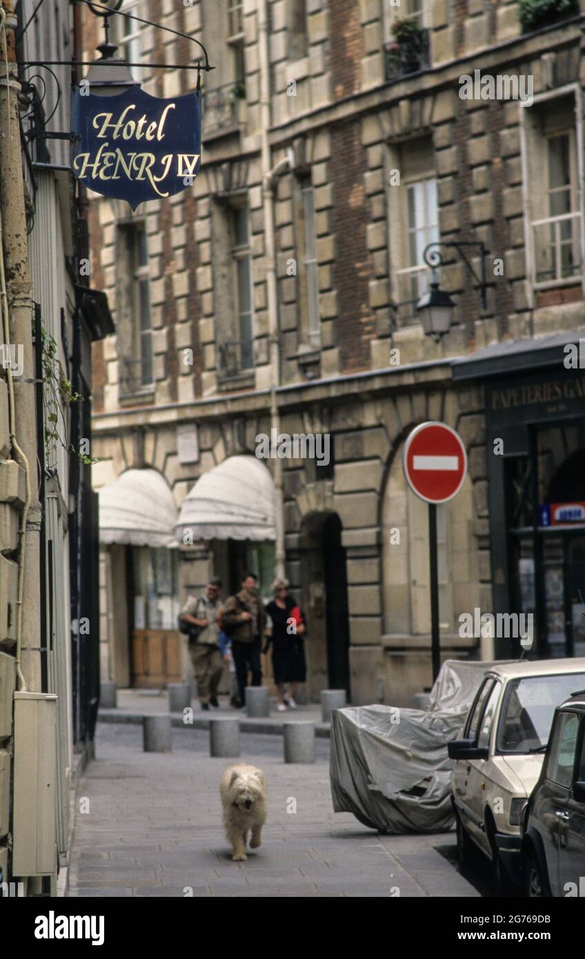The animals of Paris: A dog takes a walk through the streets of Paris ...