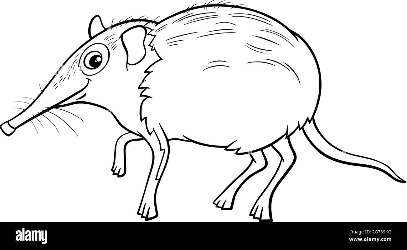 Black and white cartoon illustration of funny elephant shrew comic ...