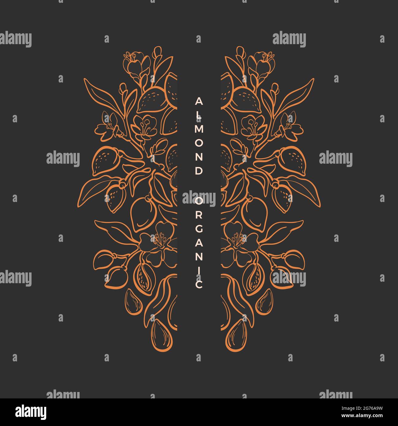 Almond symbol. Vector golden tree, natural nut, art line leaf, flower ...