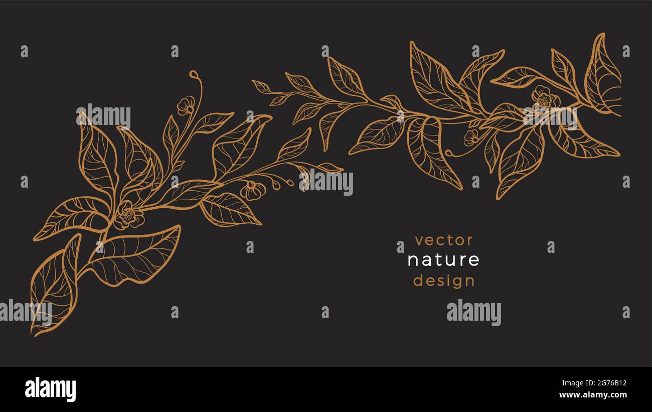 Vector art line nature. Floral plant, hand drawing graphic illustration ...