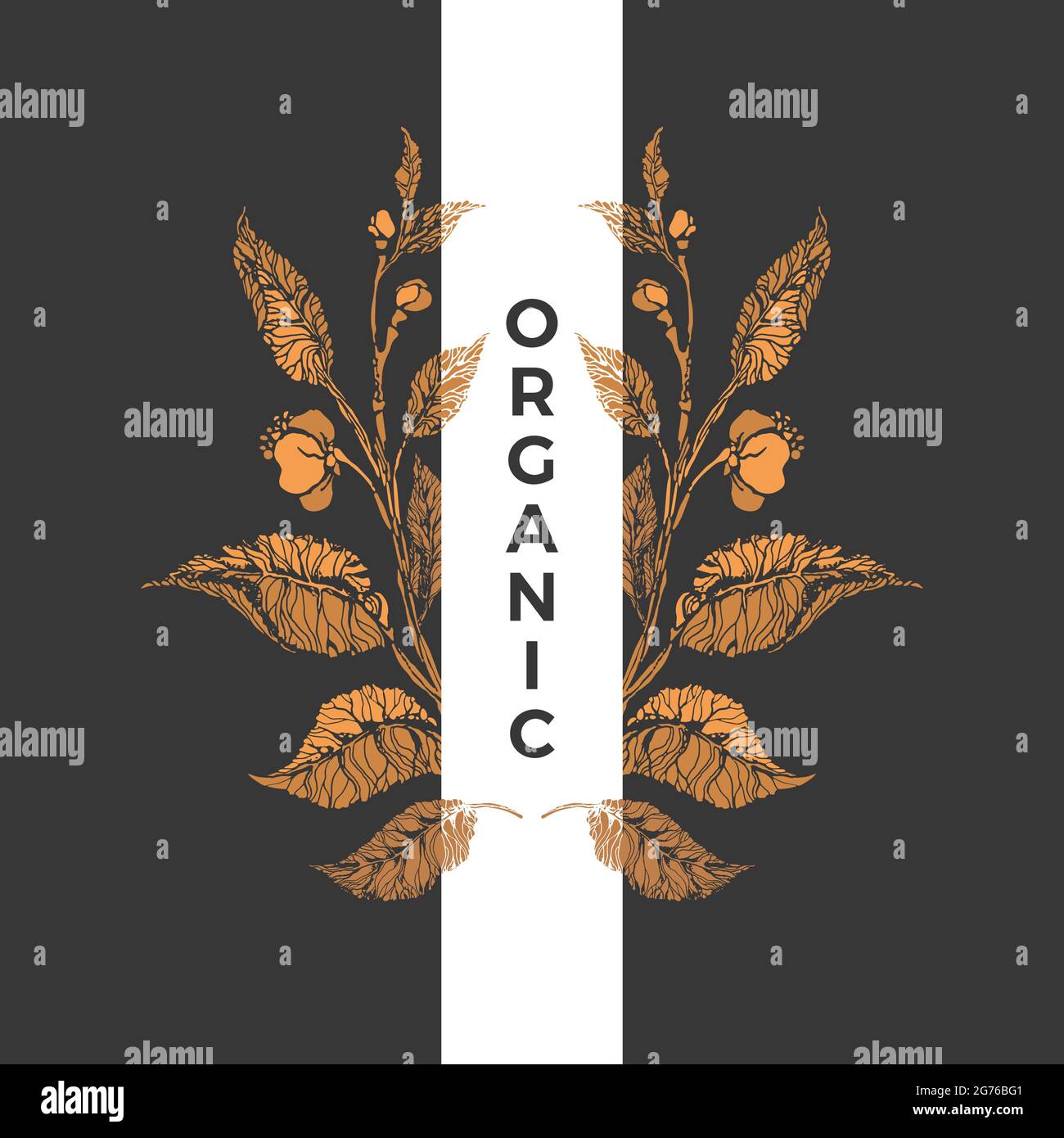 Plant label flower border hi-res stock photography and images - Alamy
