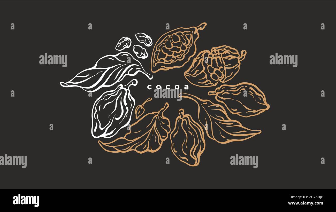 Cocoa circle symbol. Vector graphic tree, branch, leaf, bean, fruit ...