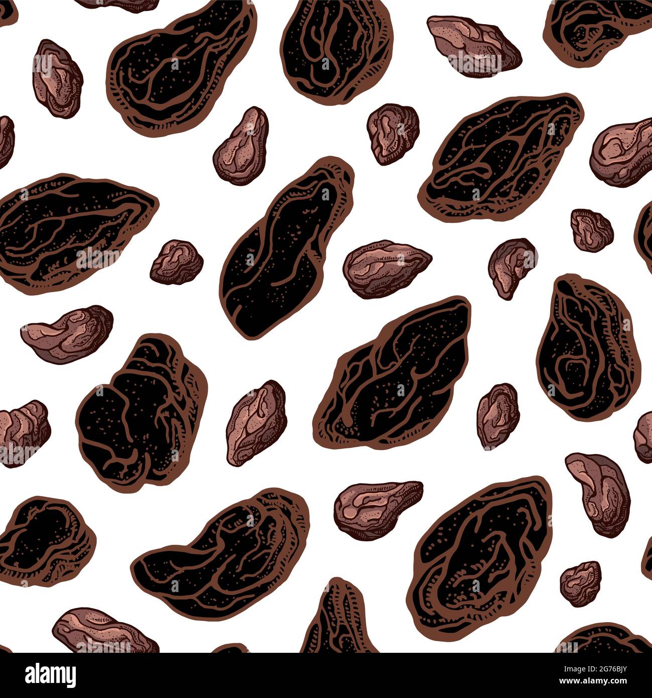Cocoa bean. Vector chocolate ingredient. Botanical art sketch. Seamless ...