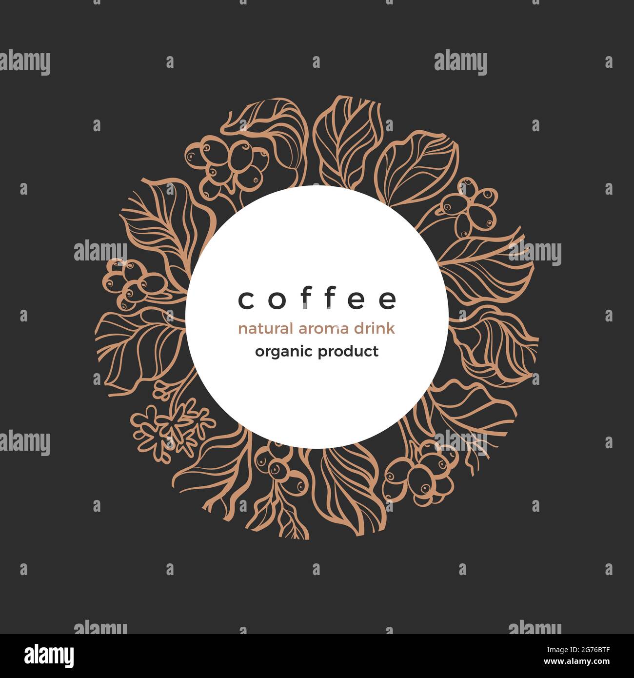 Coffee plant. Vector symbol in circle. Botanical tree, branch, flower ...