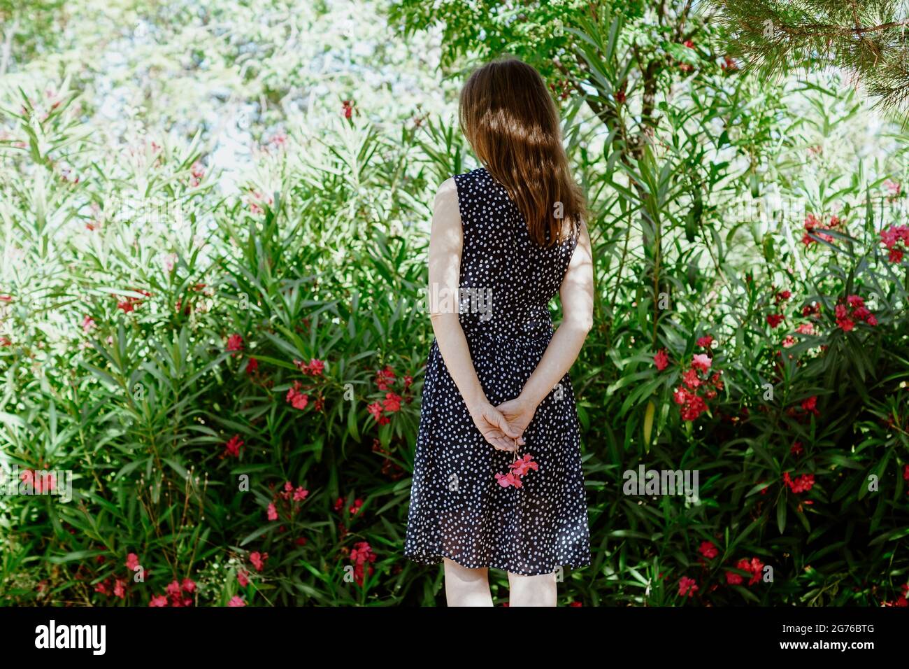 A back view of a female wearing a dress and holding flowers in a park ...