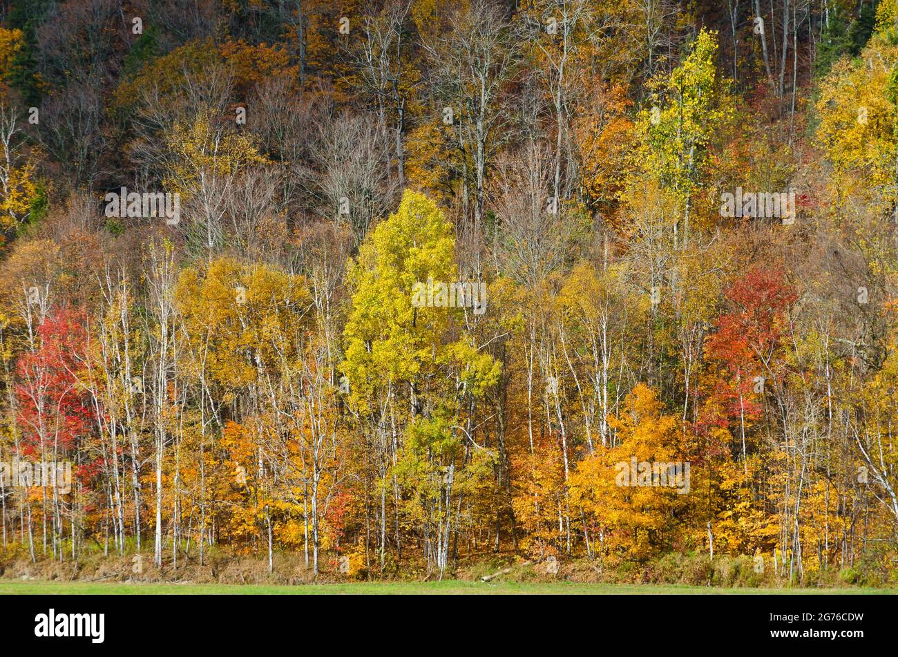 Rural landscape in fall time, Quebec, Canada Stock Photo - Alamy