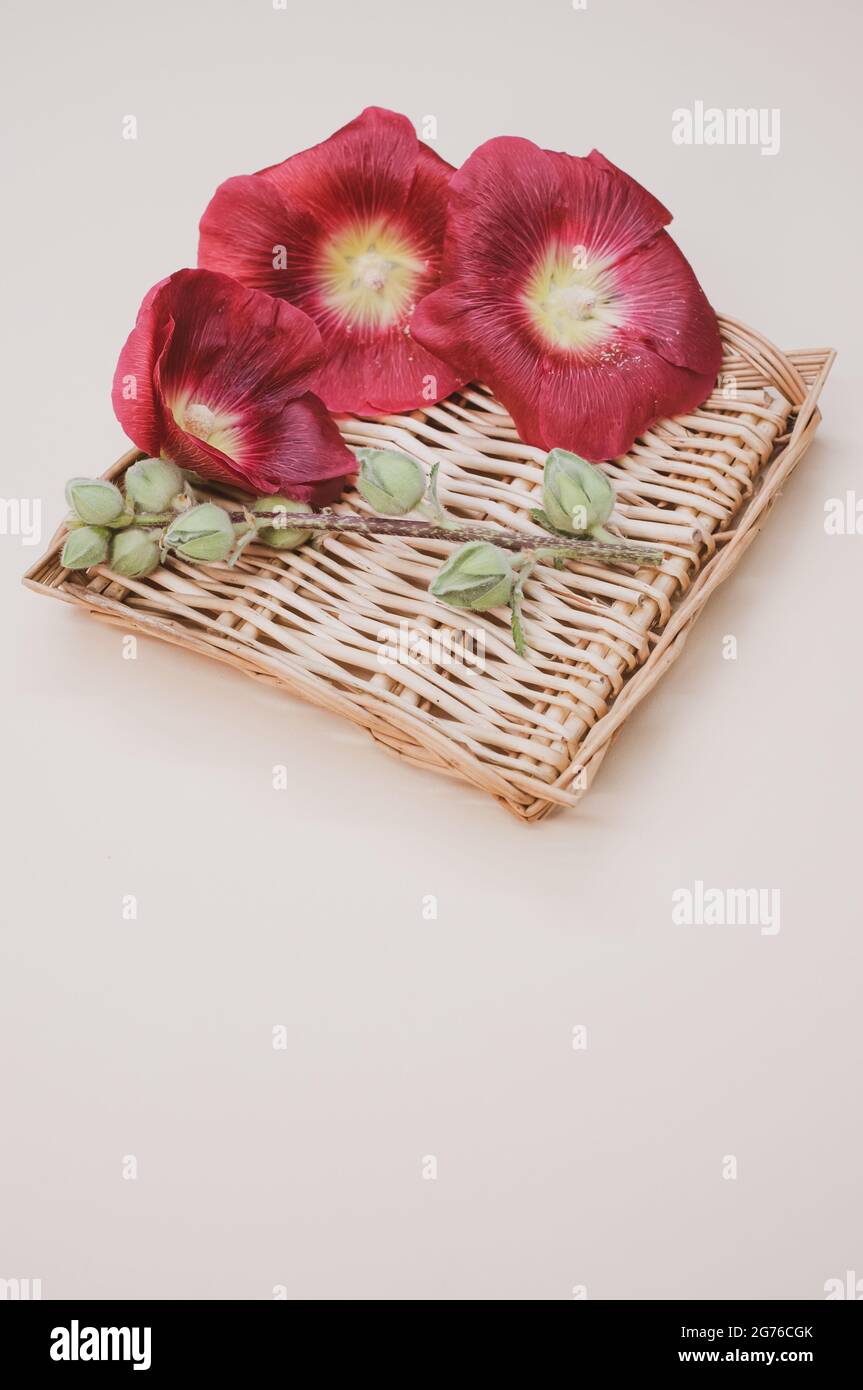 A vertical shot of a woven thatch square with vibrant red flowers and ...
