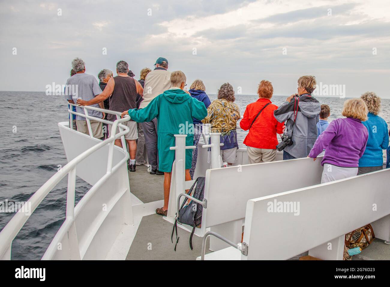 Tourists aboard one of the Dolphin Cruise boats on a whale watch, Cape ...