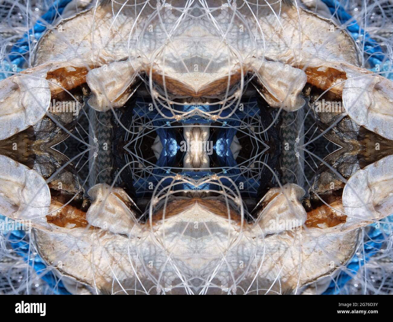 A symmetrical background with a fishing rope and net pattern Stock ...