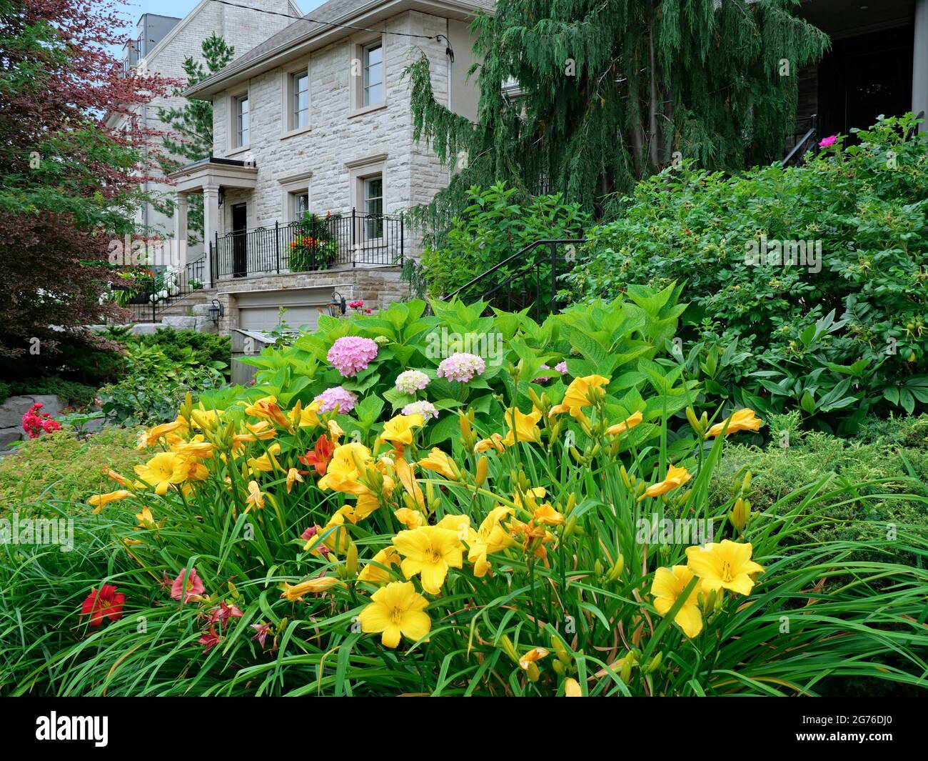colorful flowers and yellow and red daylilies in front garden on a ...