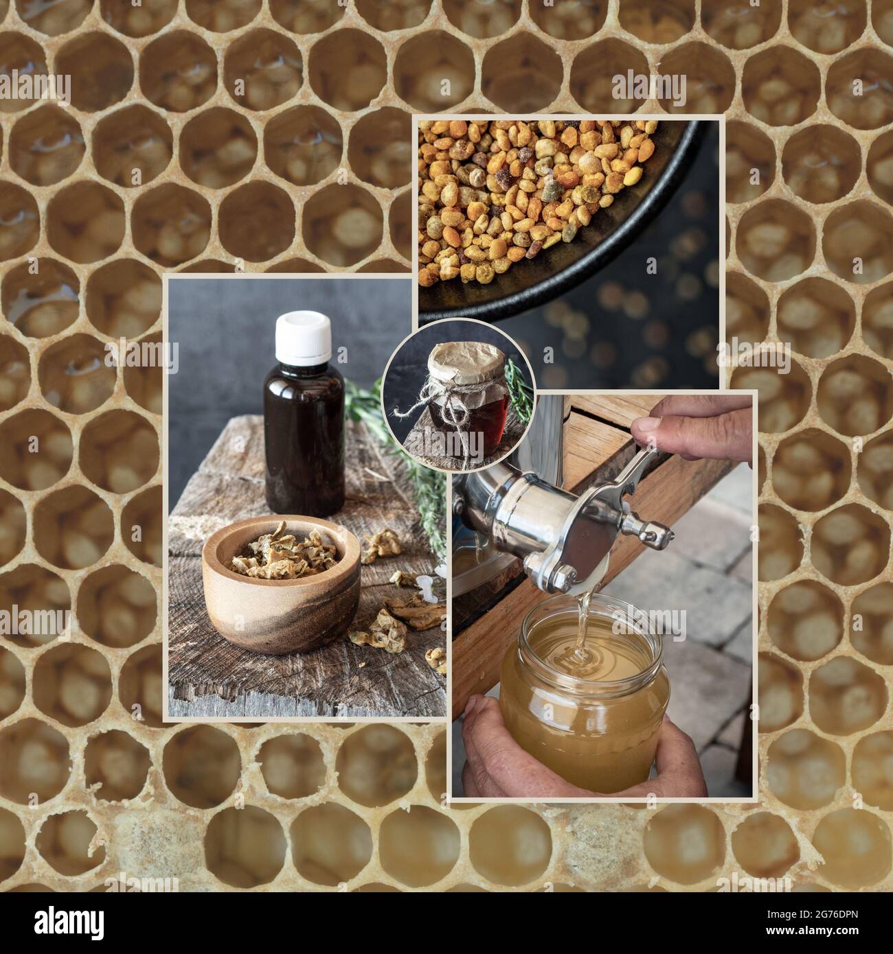 Beekeeping concept. Collage of four images of honey, pollen and ...