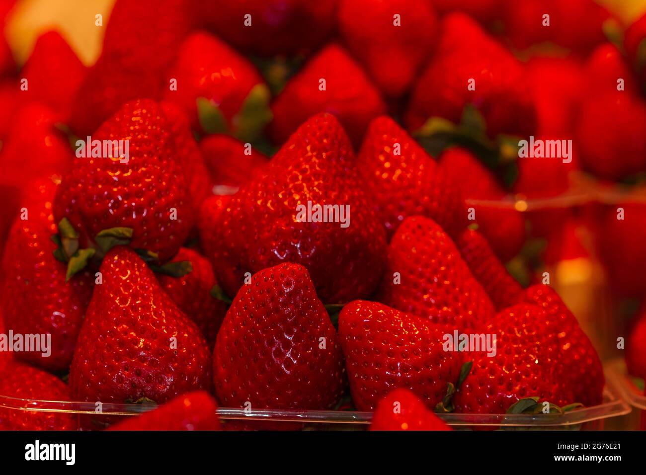 A closeup of some ripe, juicy strawberries. Natural strawberries ready ...