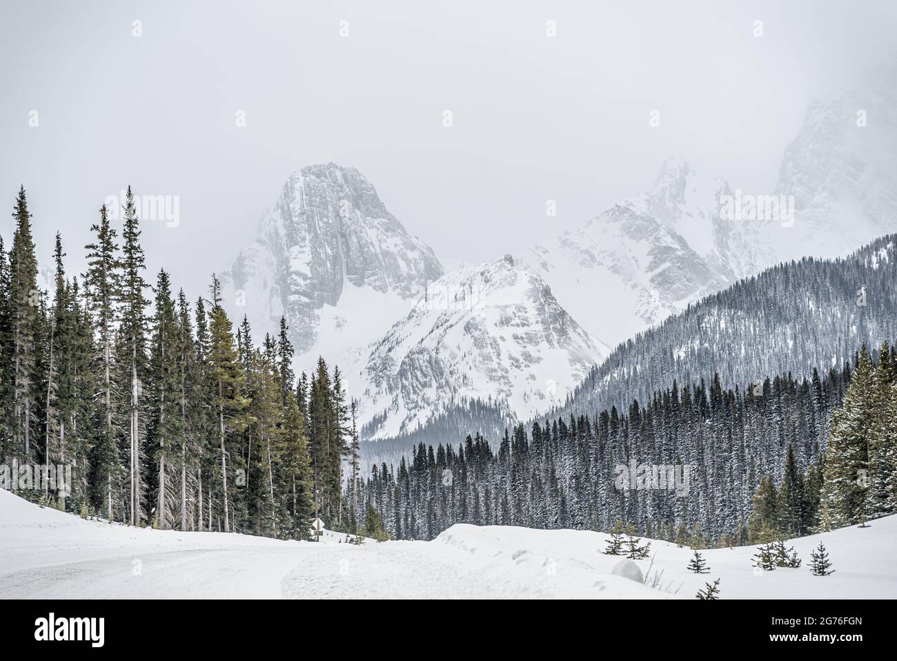 Kananaskis Country in winter time, Alberta, Canadae Stock Photo - Alamy