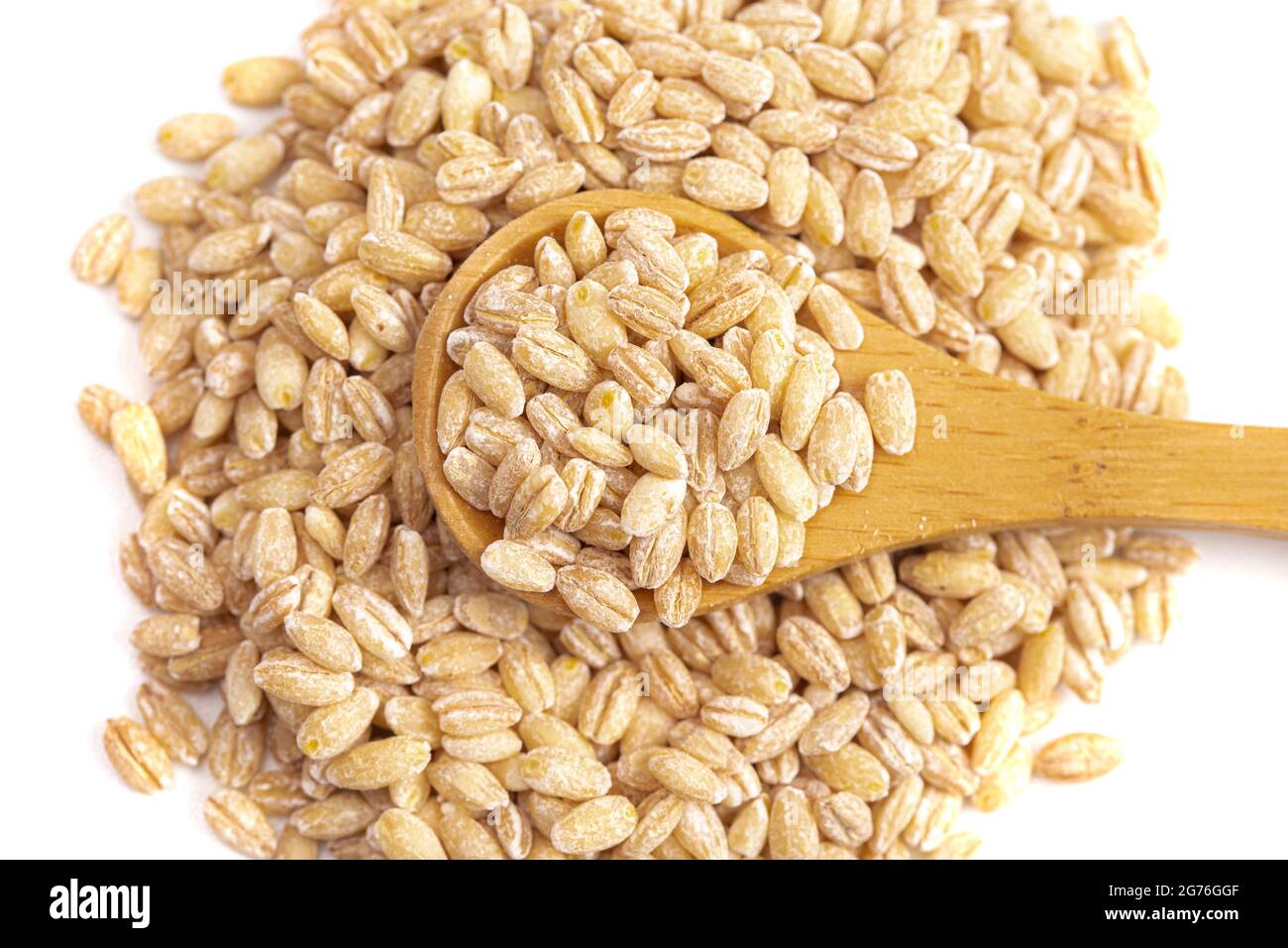 Pile of Barley Wheat Isolated on a White Background Stock Photo - Alamy