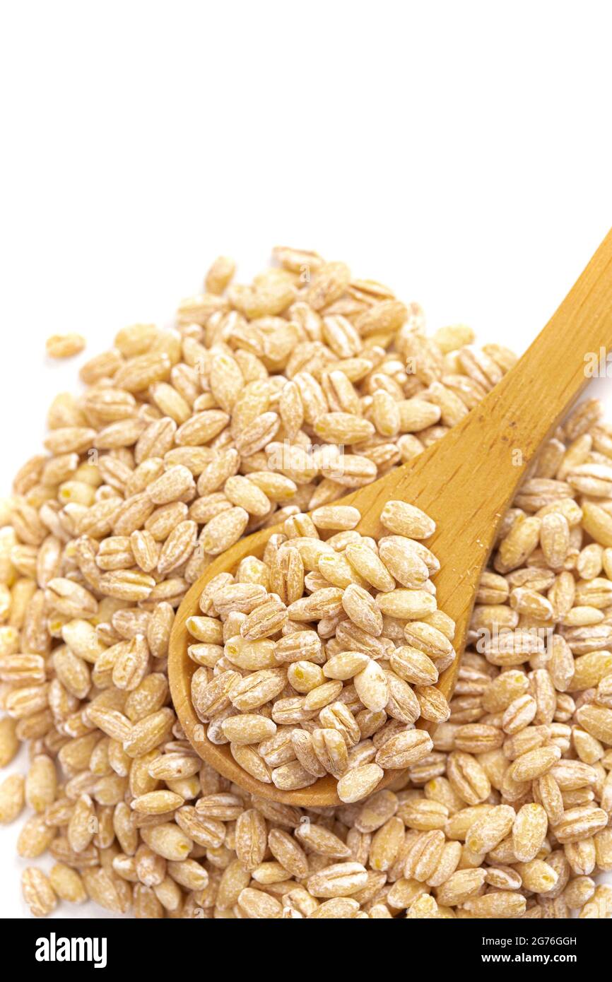 Pile of Barley Wheat Isolated on a White Background Stock Photo - Alamy