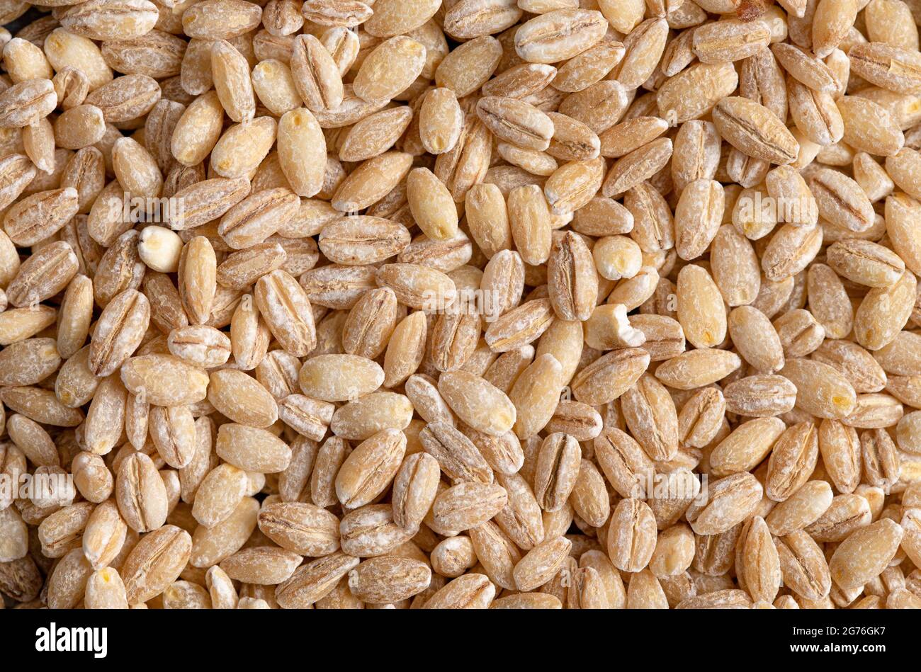 Wheat up close hi-res stock photography and images - Alamy