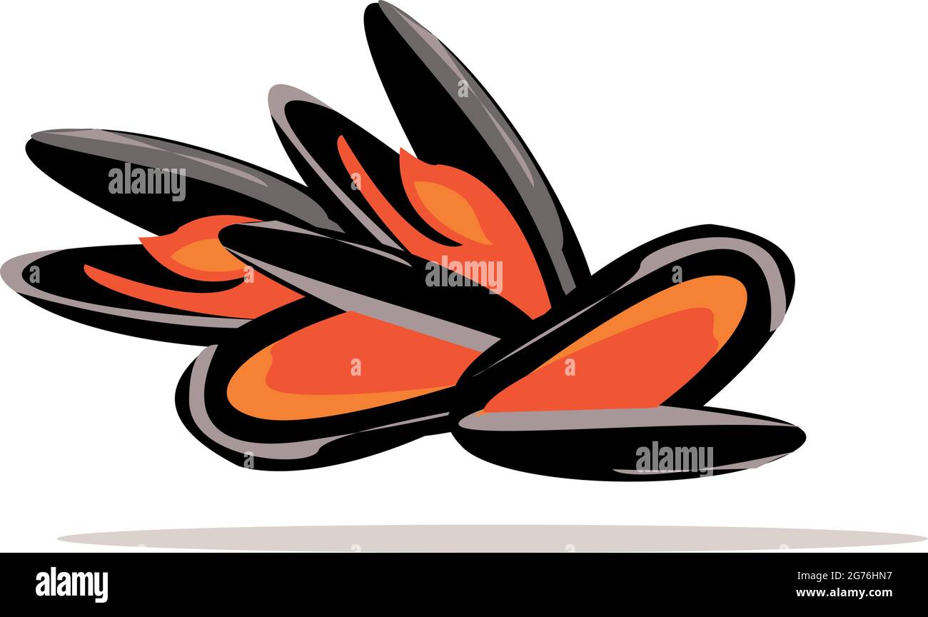 Realistic Fresh Oysters on White Background - Vector illustration Stock ...