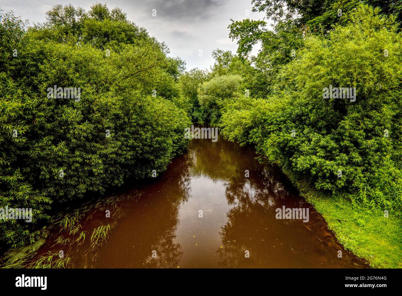 River through the forest hi-res stock photography and images - Alamy