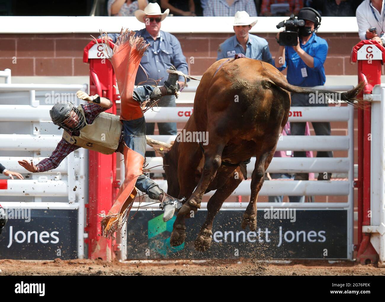 Double bull hi-res stock photography and images - Alamy