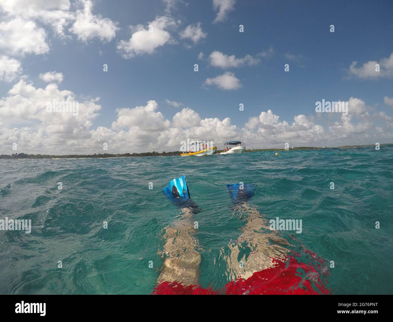 Fins swimmer swimming swimming hi-res stock photography and images - Alamy
