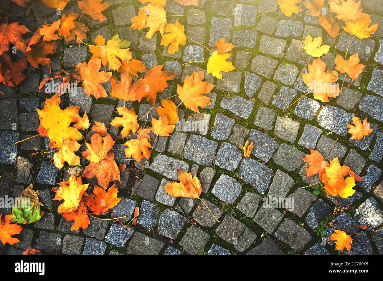 Top down cobblestone pavement hi-res stock photography and images - Alamy