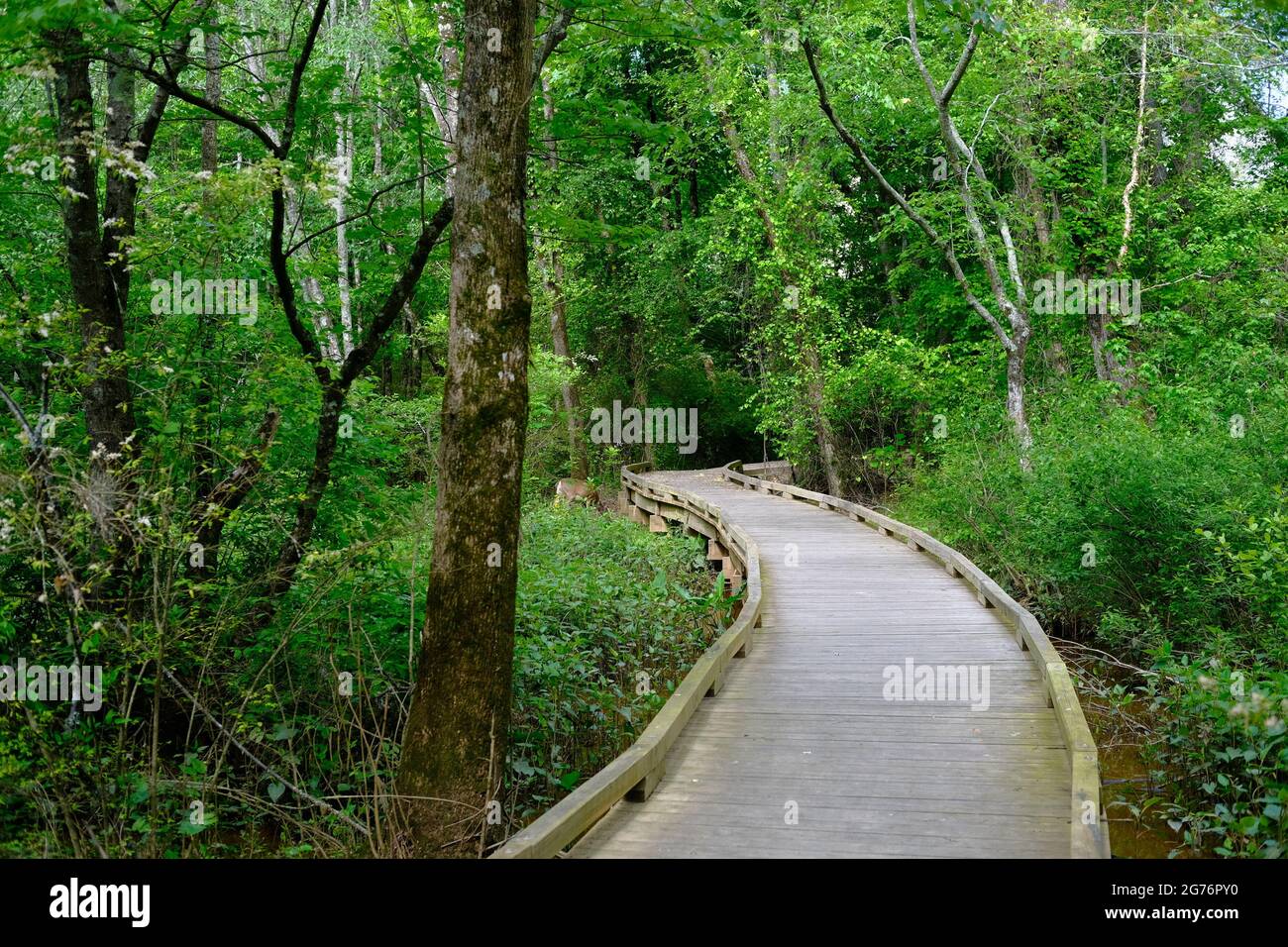 Trail Curving Past Tree Stock Photo - Alamy