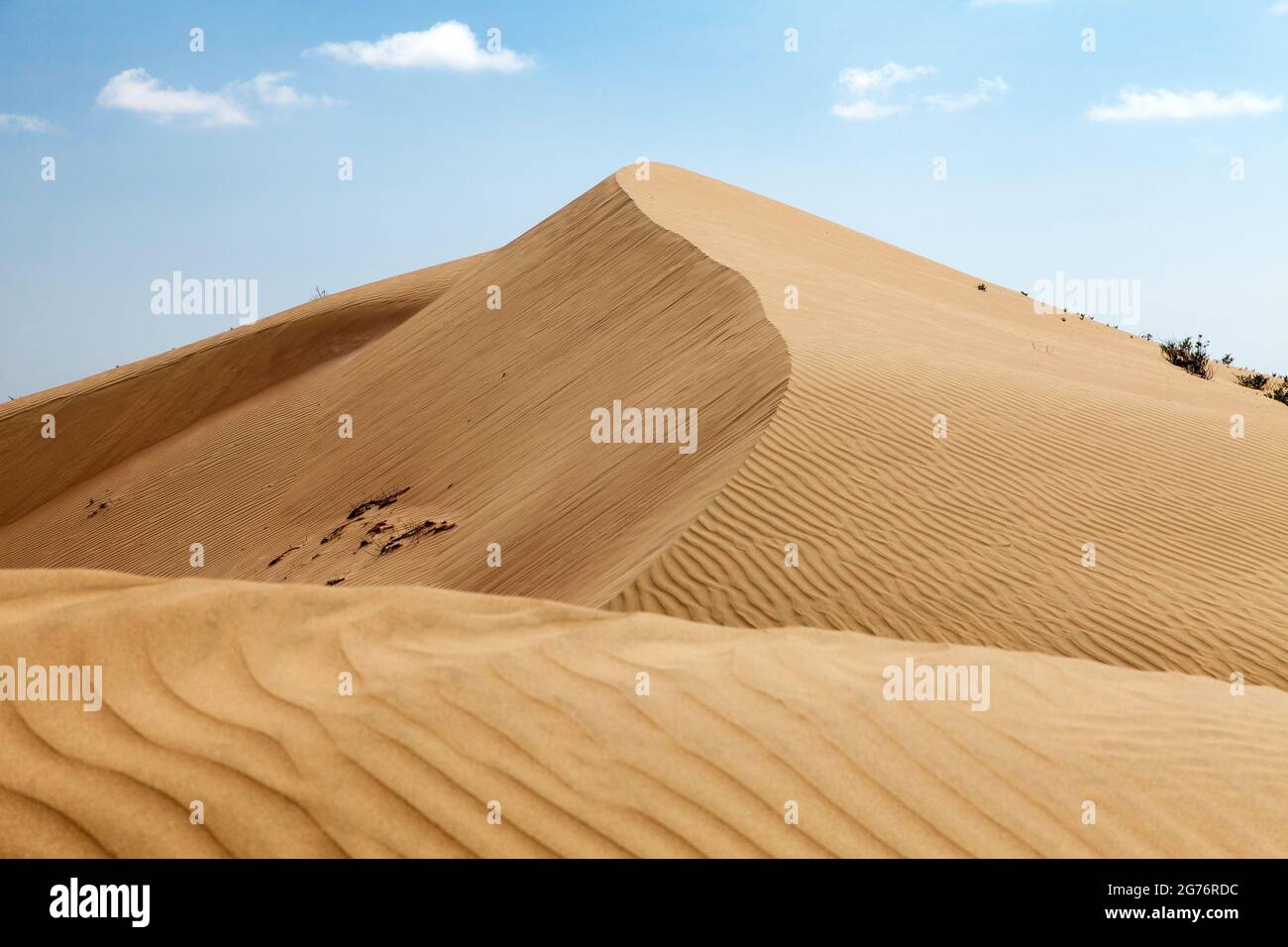 Cerro Blanco sand dune, the highest dunes on the world located near ...