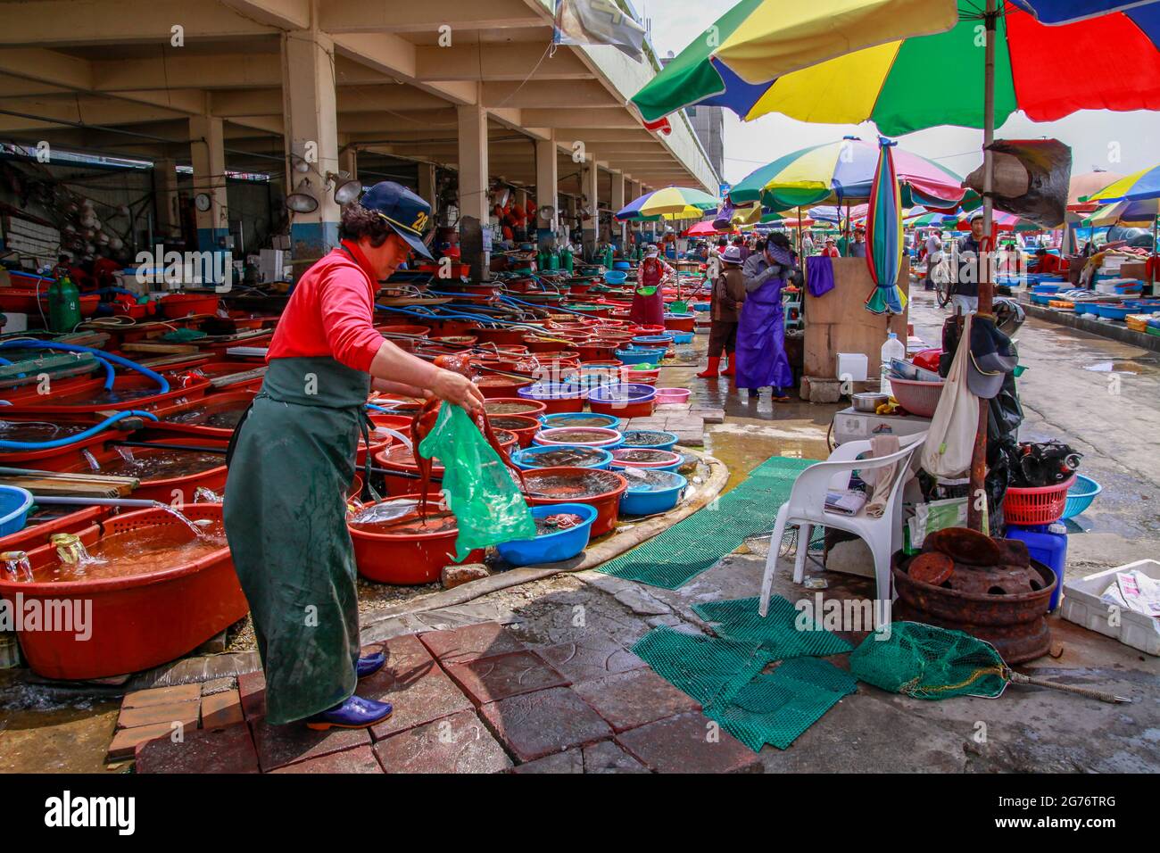 July 12, 2021-Samcheok-A View of sea food market village and port scene ...