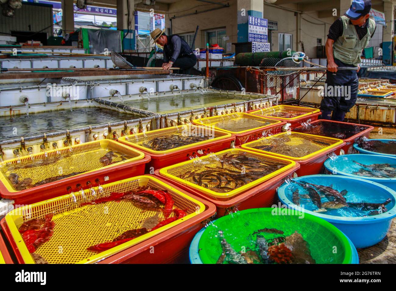 July 12, 2021-Samcheok-A View of sea food market village and port scene ...