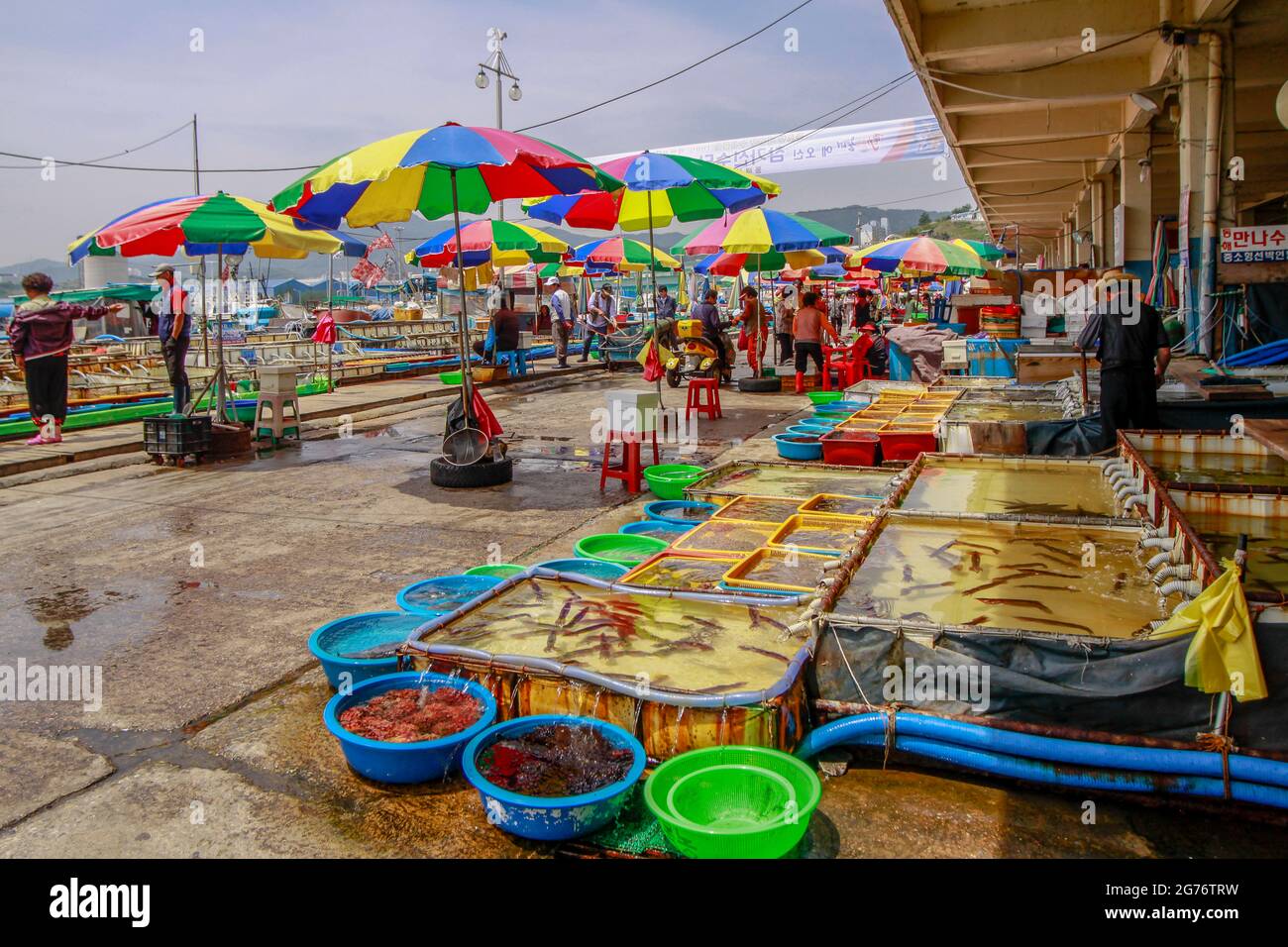 July 12, 2021-Samcheok-A View of sea food market village and port scene ...