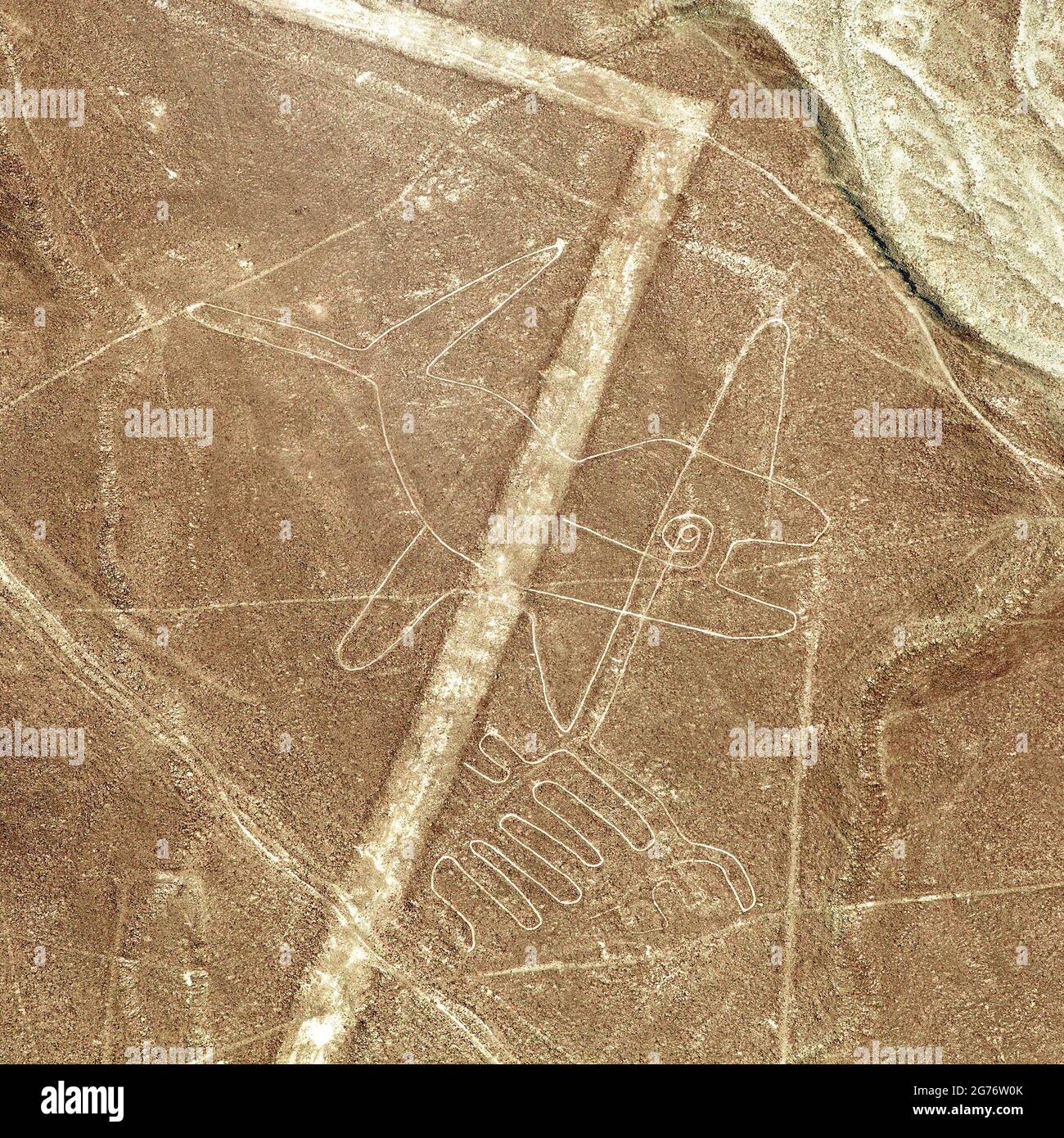 The whale, Nazca mysterious lines and geoglyphs aerial view, landmark ...
