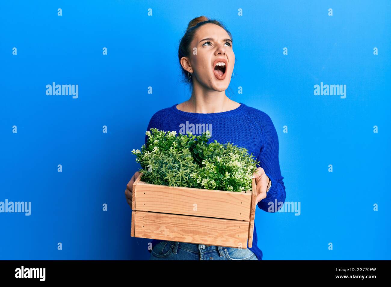 Young blonde woman holding wooden plant pot angry and mad screaming ...