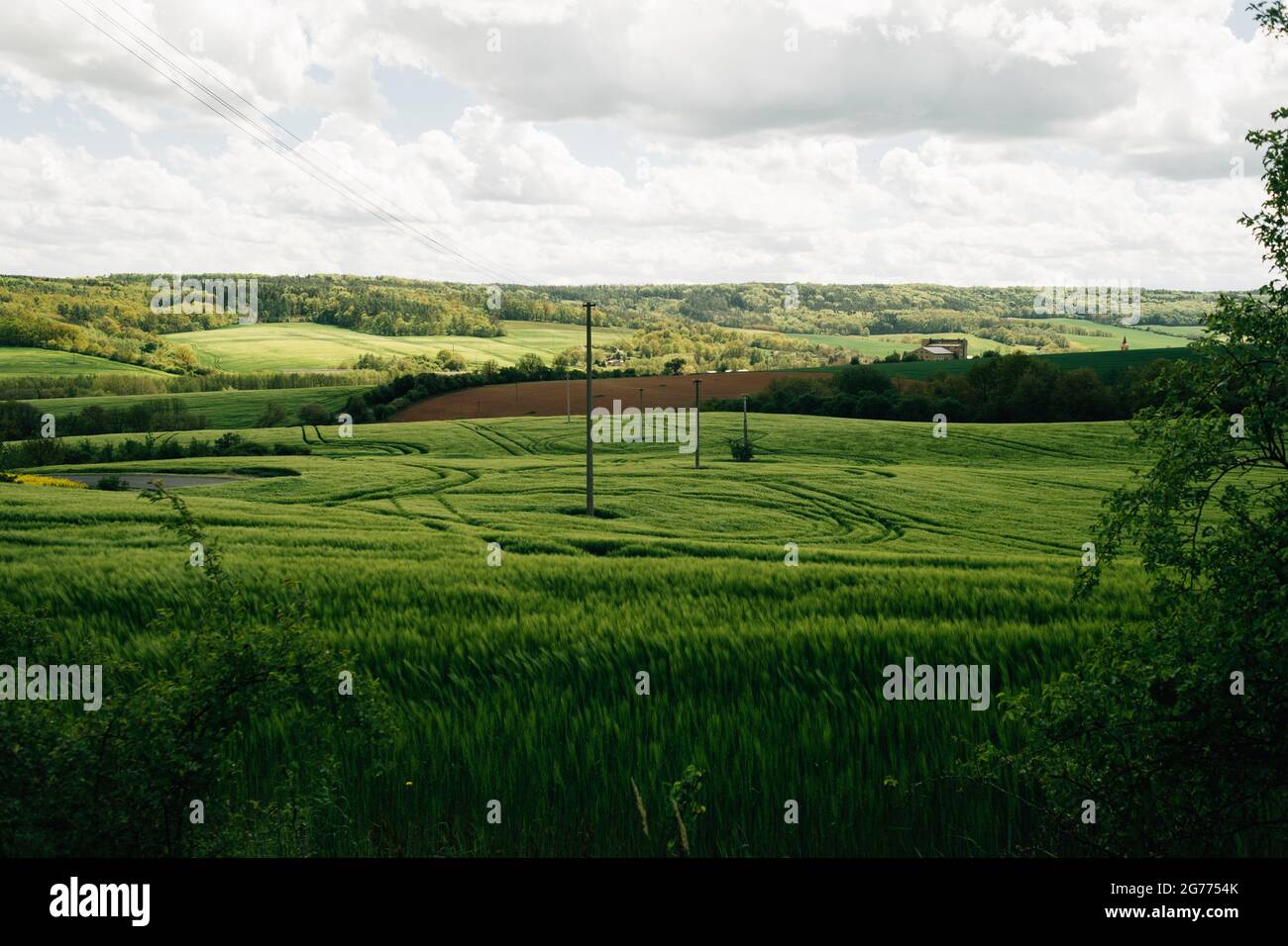 Sun shining over wheat field agriculture hi-res stock photography and ...