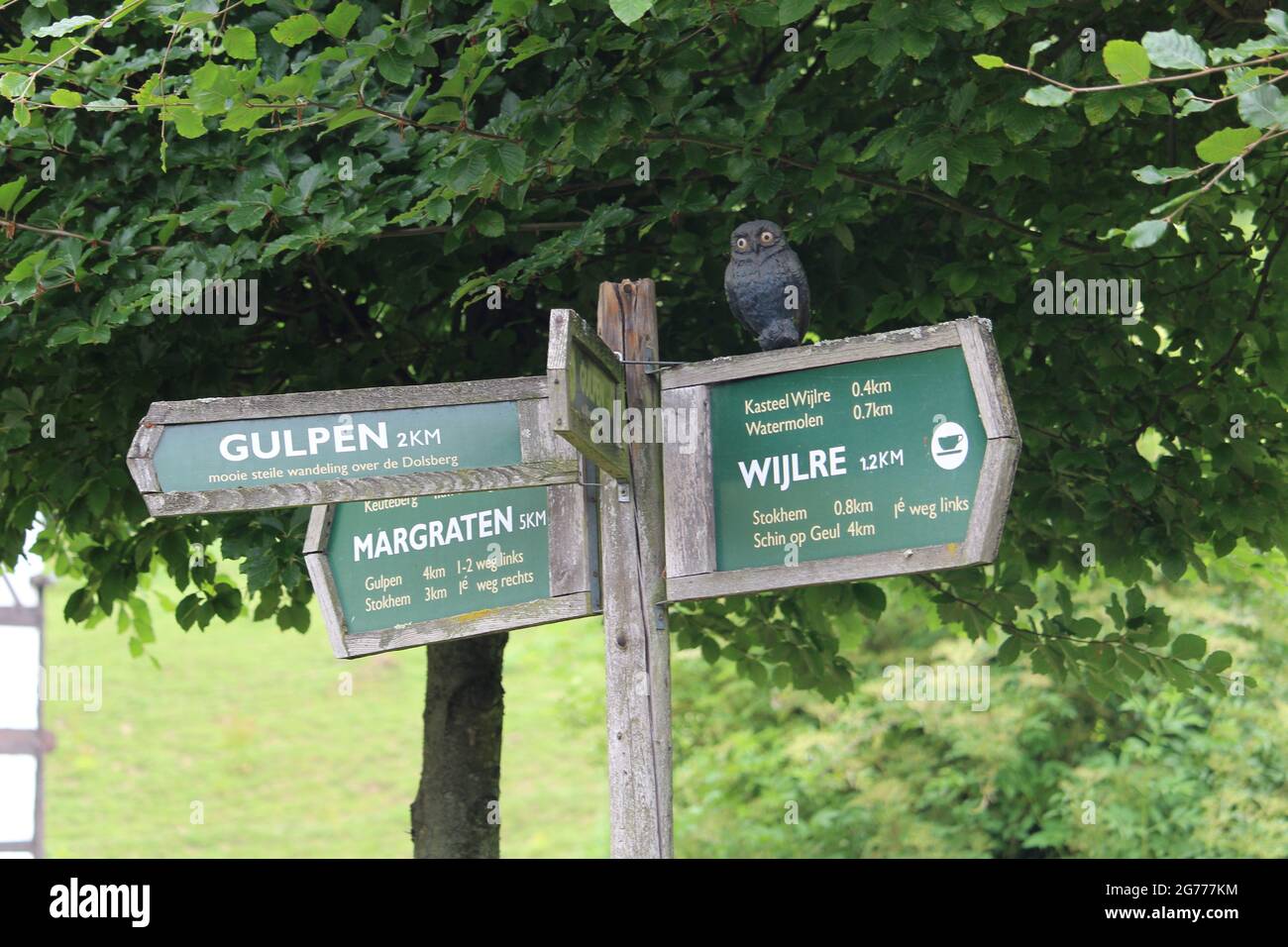 An owl sitting on the sign showing directions Stock Photo - Alamy
