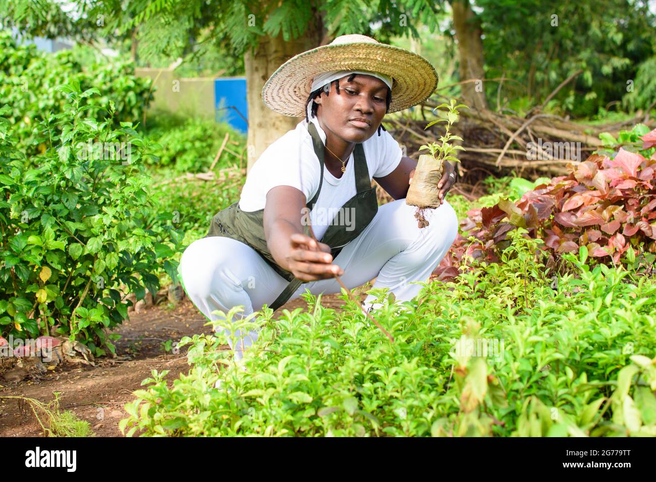African female gardener, florist or horticulturist wearing an apron and ...
