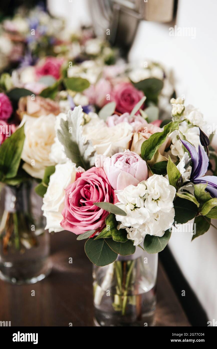 Rabbit ears plant hi-res stock photography and images - Alamy