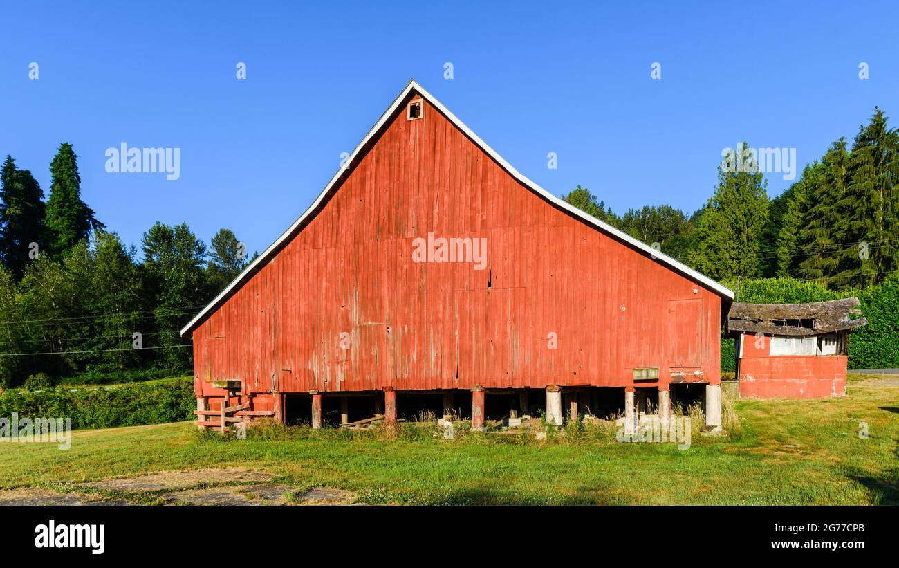 Carnation Wa Usa July 11 2021 Quaale Barn In The Snoqualmie