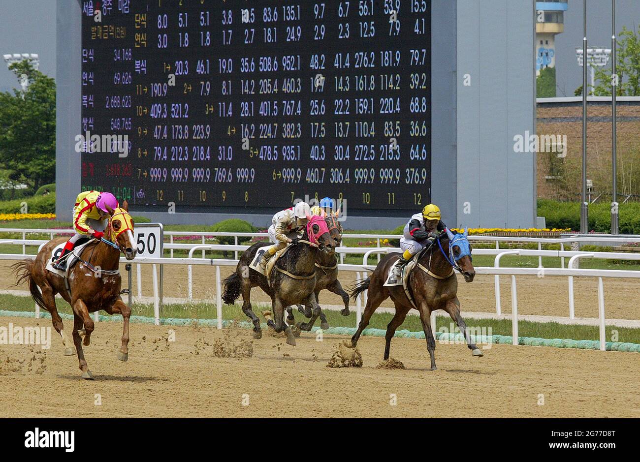 July 12, 2021-Gwacheon, South Korea-Jockey and horse run on the track during an Let's Run Park ...