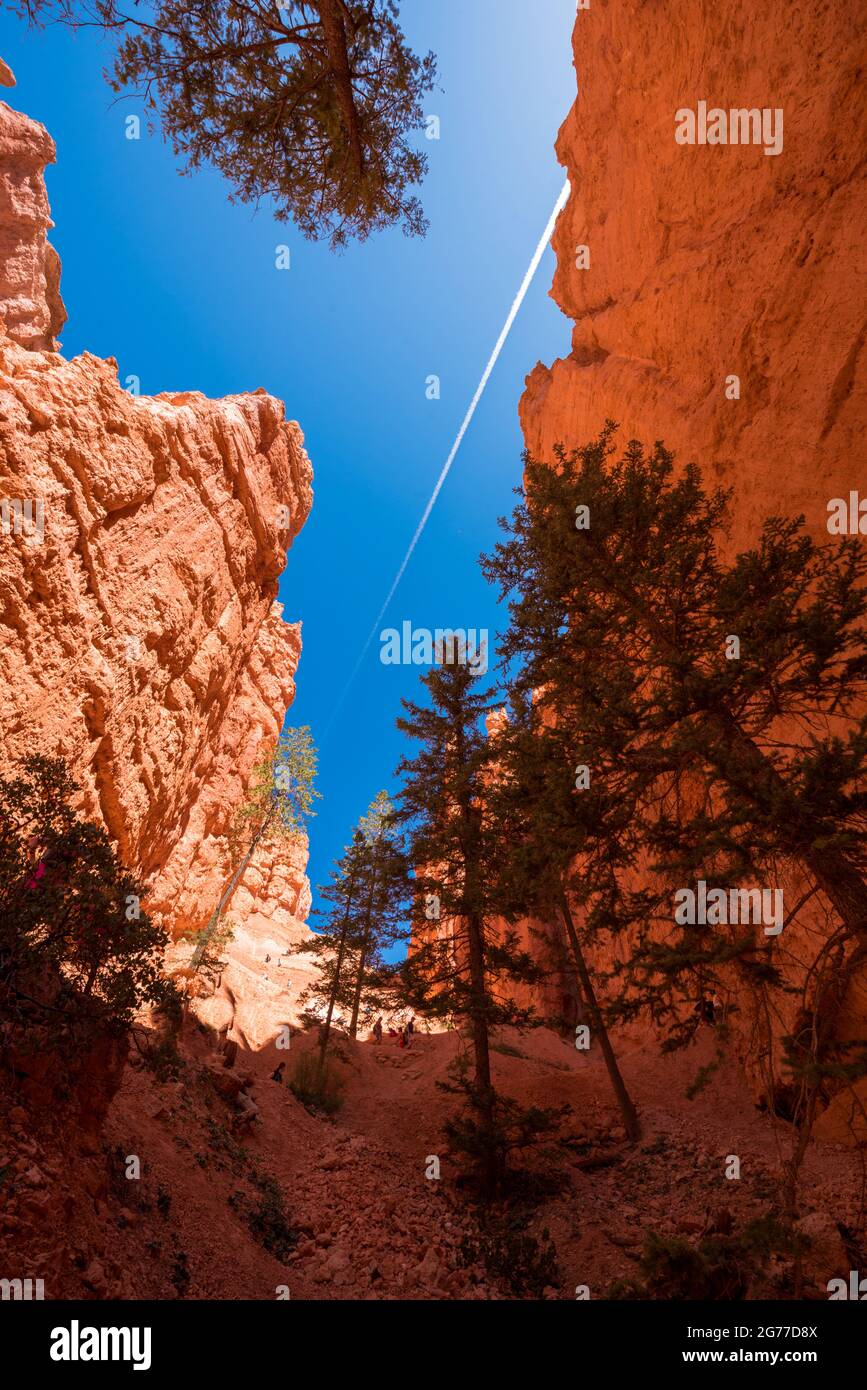 Hike inside Bryce canyon Stock Photo - Alamy