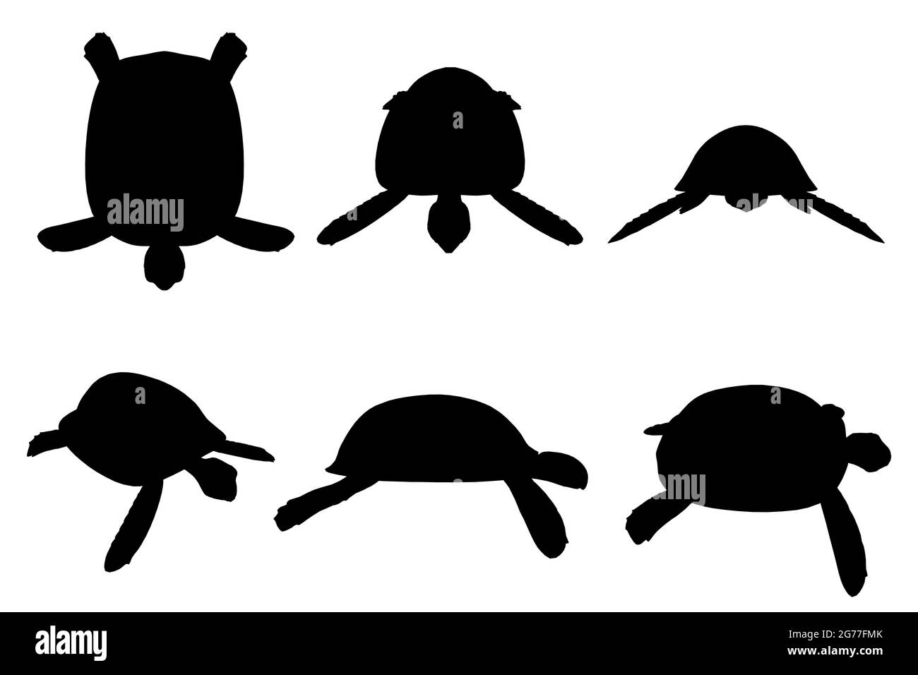Set with silhouettes of a turtle in various positions isolated on a ...