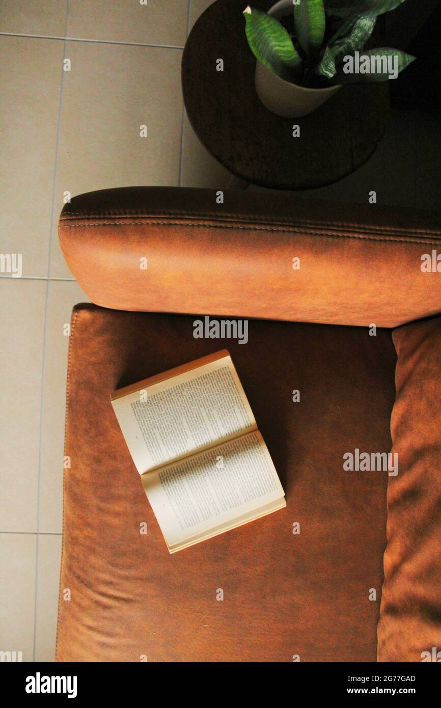 Vertical top view of an open book on a sofa Stock Photo - Alamy