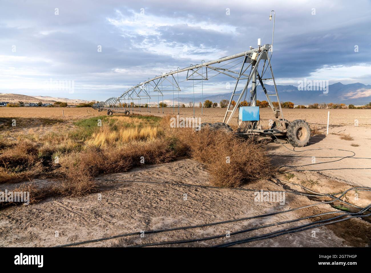 Center-pivot water system irrigation in the middle of a large field ...