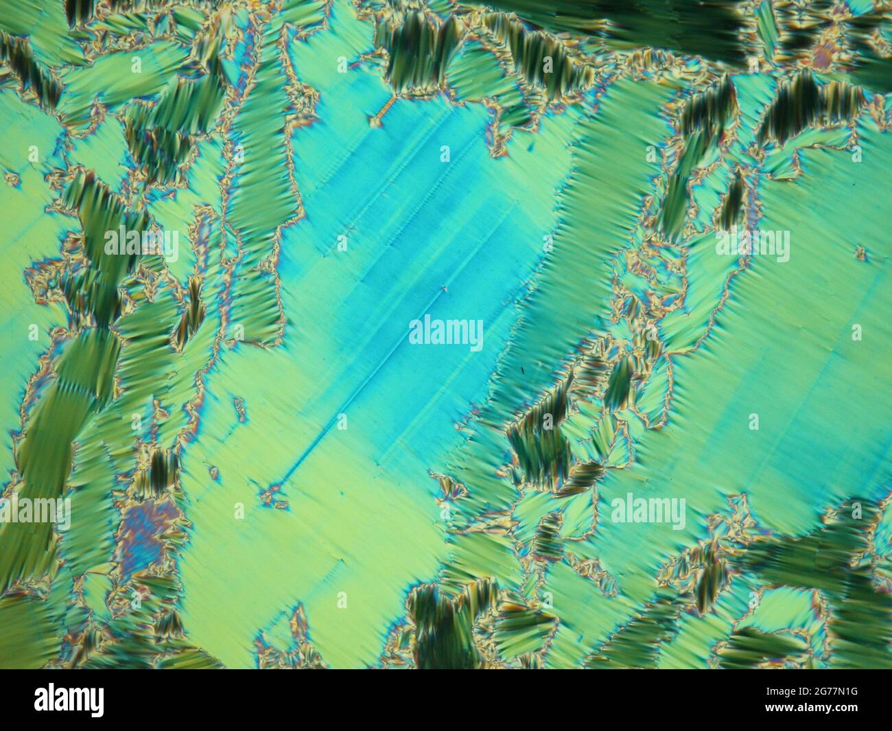 Liquid crystal pattern viewed under polarized light microscope Stock ...