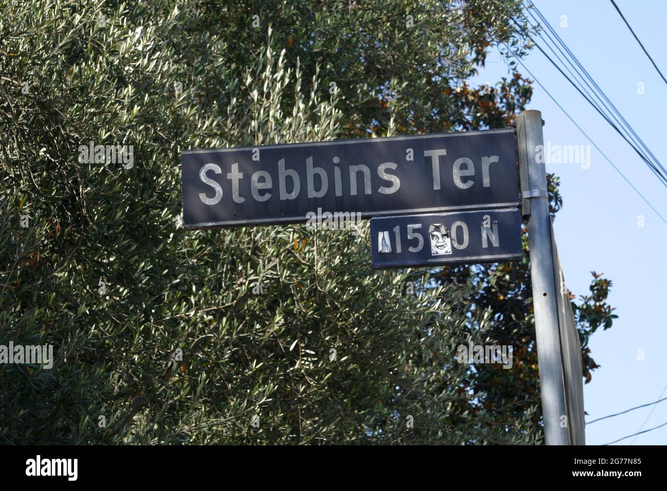 Los Angeles, California, USA 11th July 2021 A general view of ...