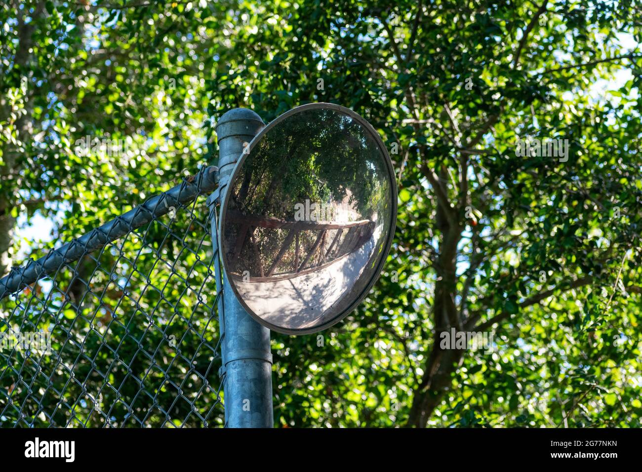 Round traffic, safety mirror at blind intersection of a hiking trail ...